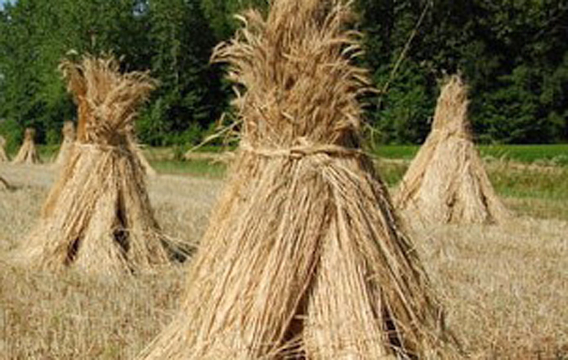 18 maisons certifiées PassivHaus en bois & paille - Atelier d ...